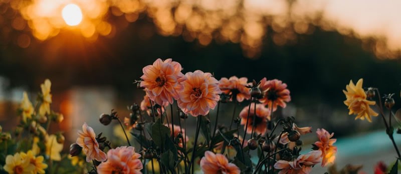 Decoração de primavera para curtir a estação mais bela do ano ...
